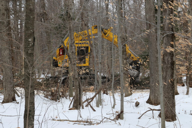 Implementing Forest Management in a Changing Climate webinar ...