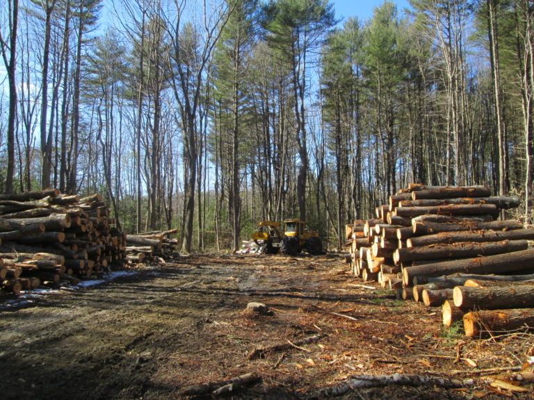 Forest Cutting Practices Workshop for Licensed Harvesters ...