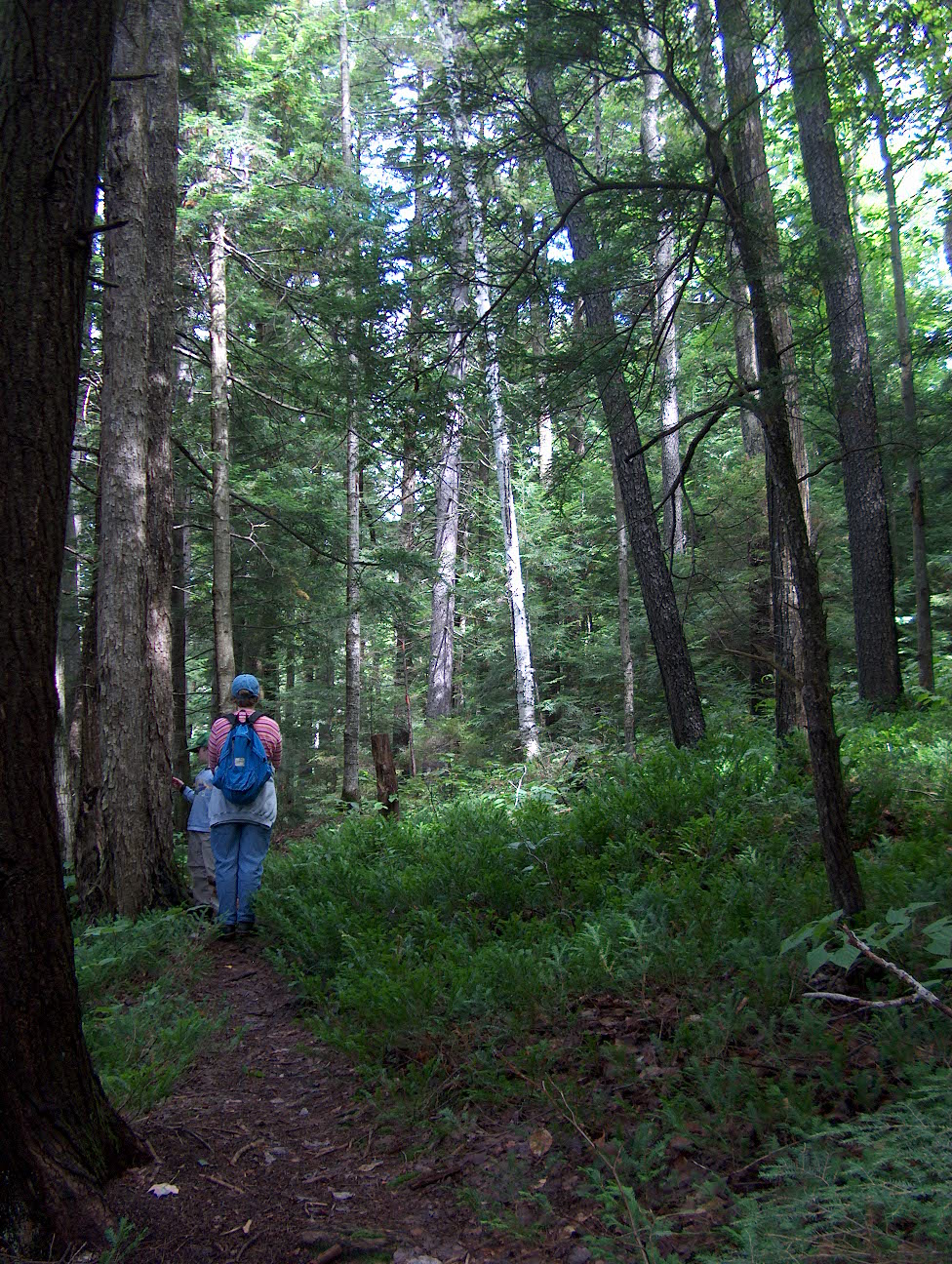 DCR Landscape Designations & Management Guidelines public meeting ...