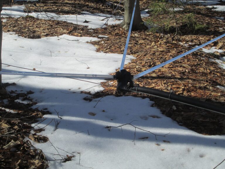 Designing & Installing a Maple Tubing System – Massachusetts Forest ...
