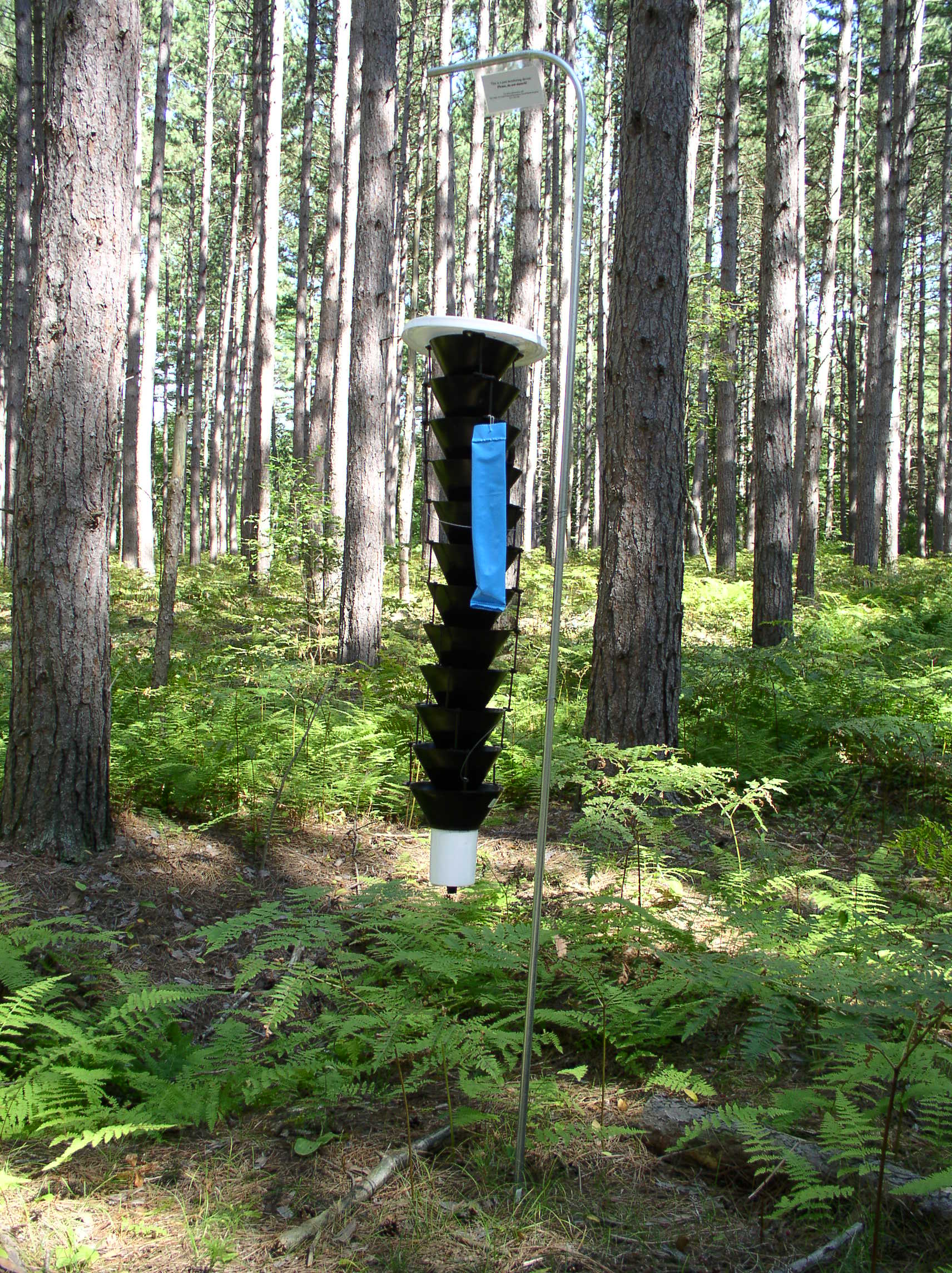 Trapping for new Invasive Insects in Massachusetts webinar ...