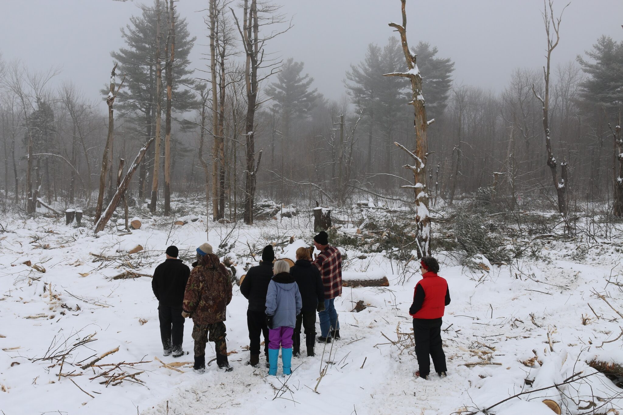 Forestry Tour – Massachusetts Forest Alliance
