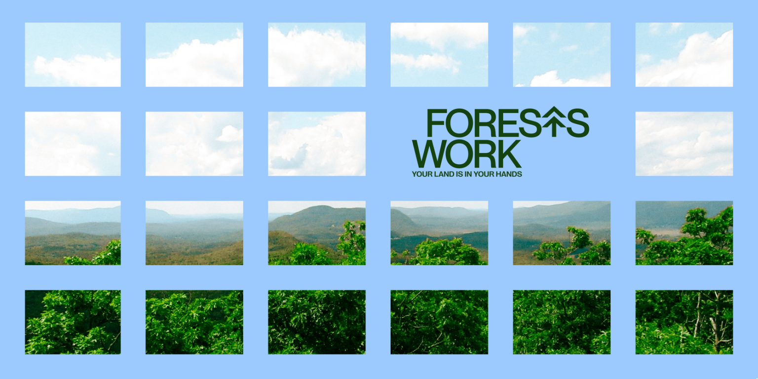 C-SIP Expansion 2026 webinar – Massachusetts Forest Alliance